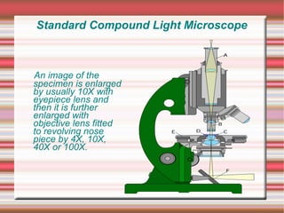Compound Microscopes An Essential and Affordable Apparatus | PPT