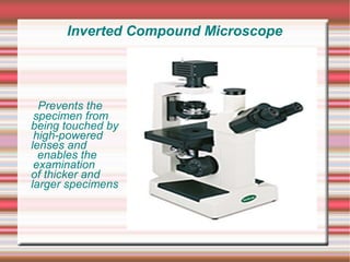 Compound Microscopes An Essential and Affordable Apparatus | PPT