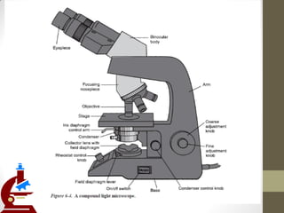 Compound microscope | PPT | Free Download