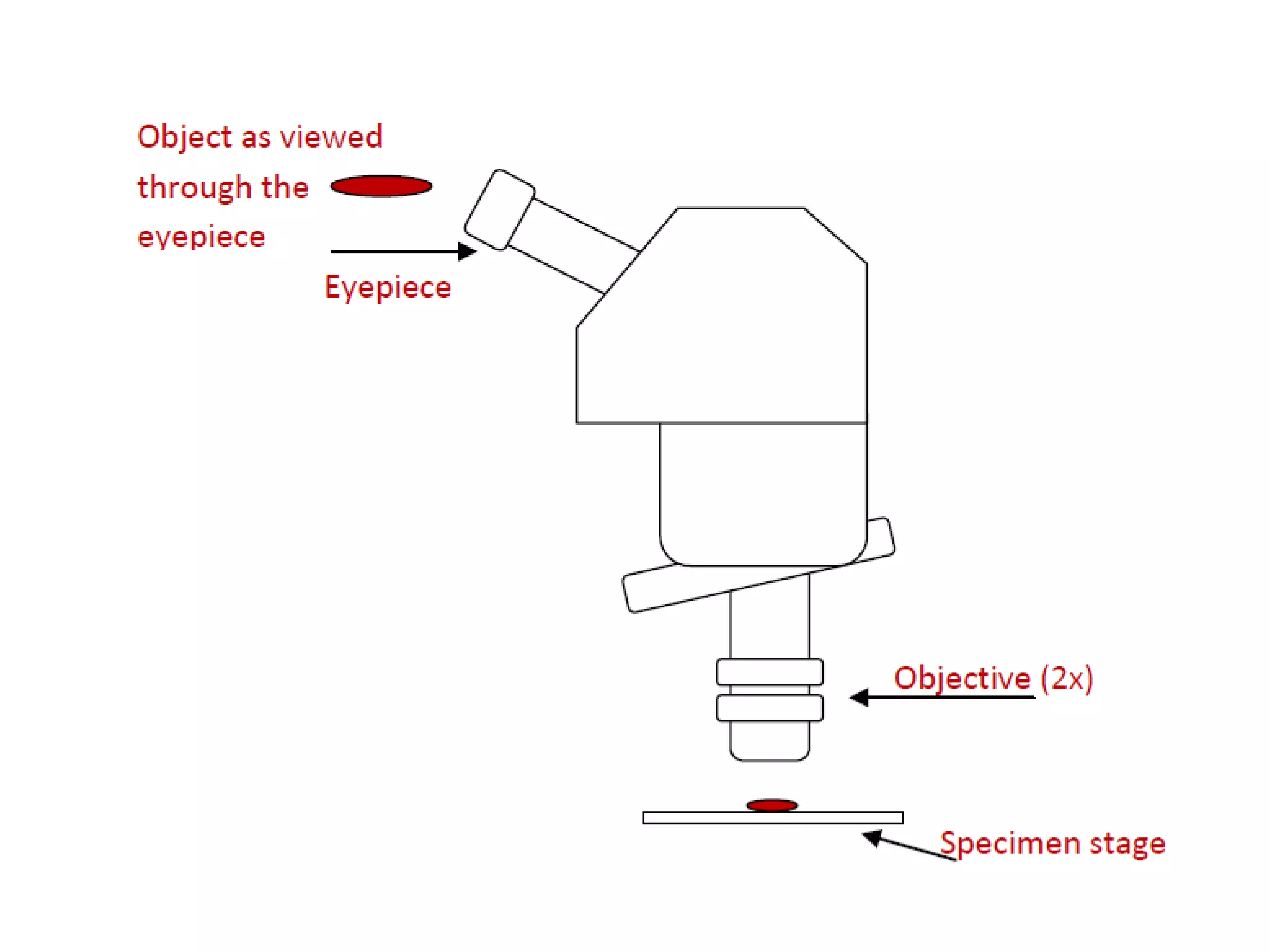 Compound microscope | PPTX