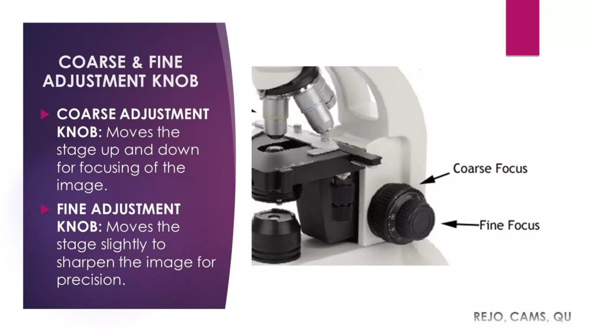 Compound Light microscope | PPT