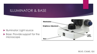 Compound Light microscope | PDF
