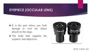 Compound Light microscope | PPT