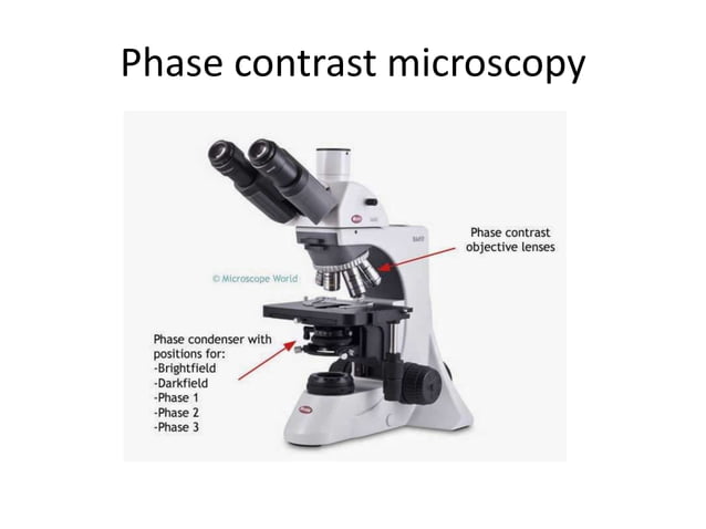 Compound microscope | PPT