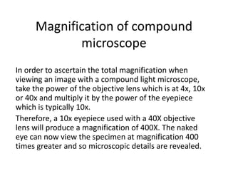 Compound microscope | PPT