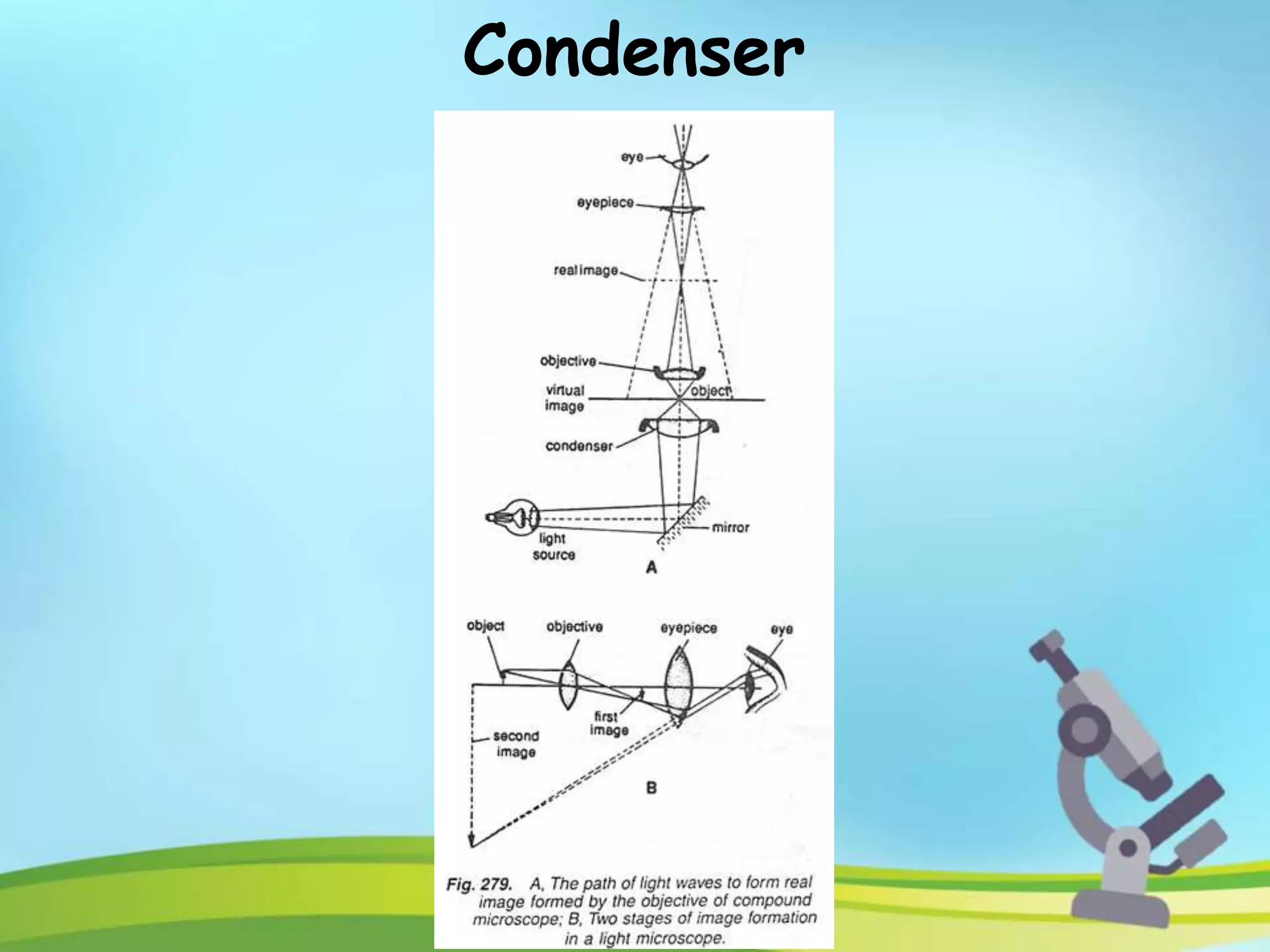 Compound microscope | PPT