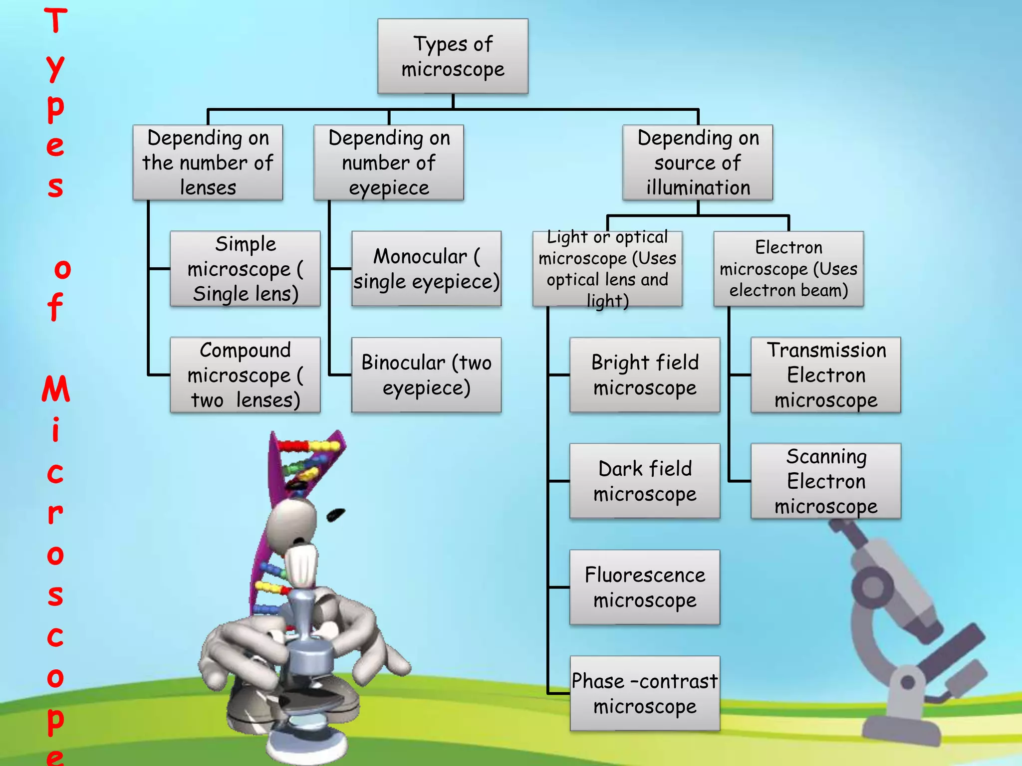 Compound microscope | PPT