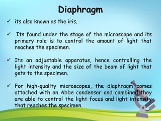 Compound microscope | PPT