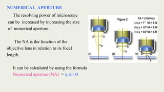 Compound microscope | PPTX