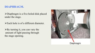 Compound microscope | PPTX