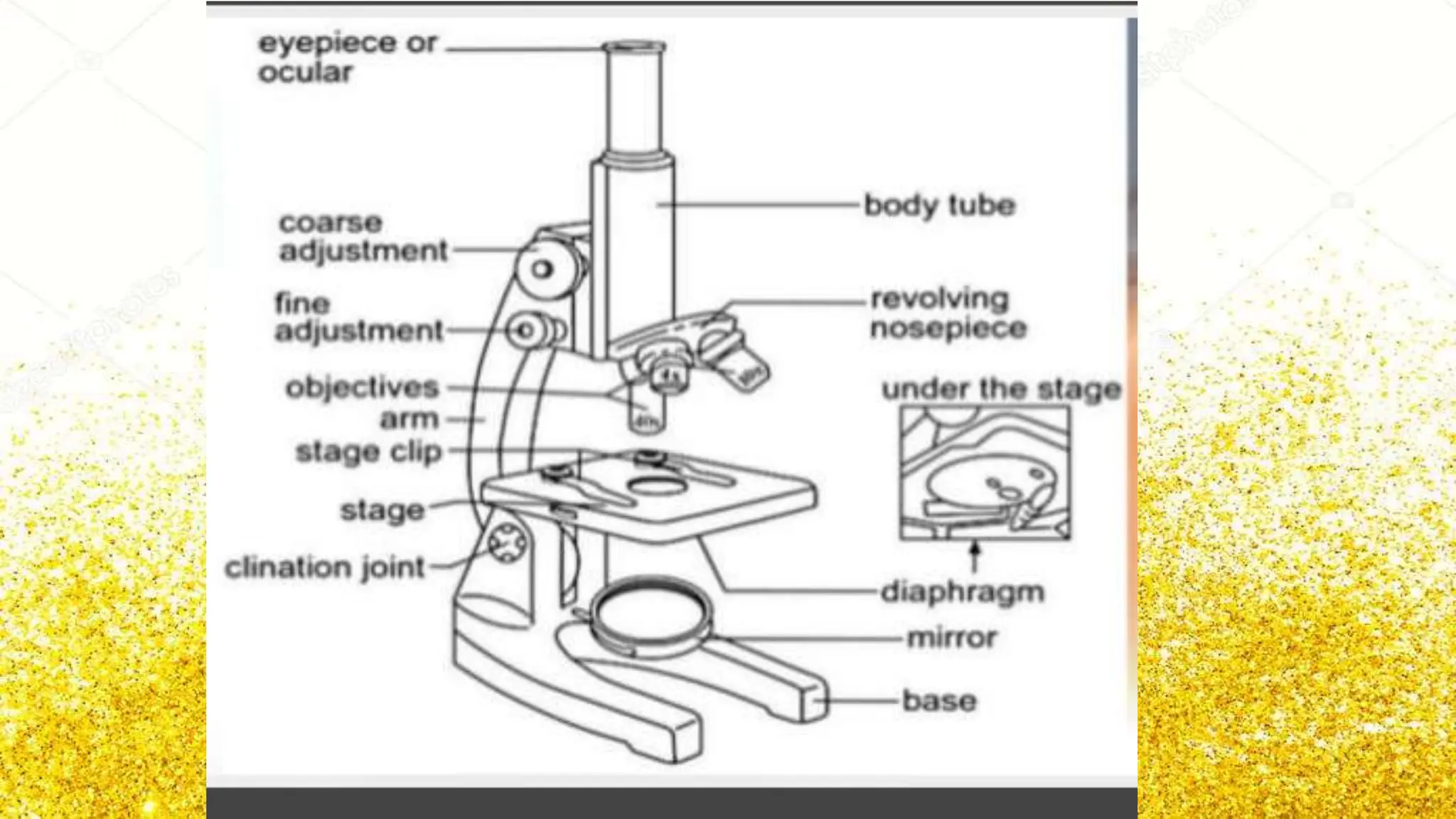 COMPOUND MICROSCOPE COT 2ND.pptx