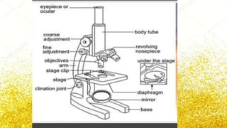 COMPOUND MICROSCOPE COT 2ND.pptx