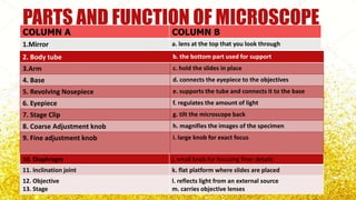 COMPOUND MICROSCOPE COT 2ND.pptx