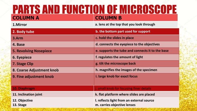 COMPOUND MICROSCOPE COT 2ND.pptx