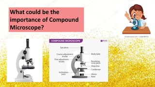 COMPOUND MICROSCOPE COT 2ND.pptx