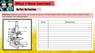 COMPOUND MICROSCOPE COT 2ND.pptx