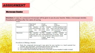 COMPOUND MICROSCOPE COT 2ND.pptx