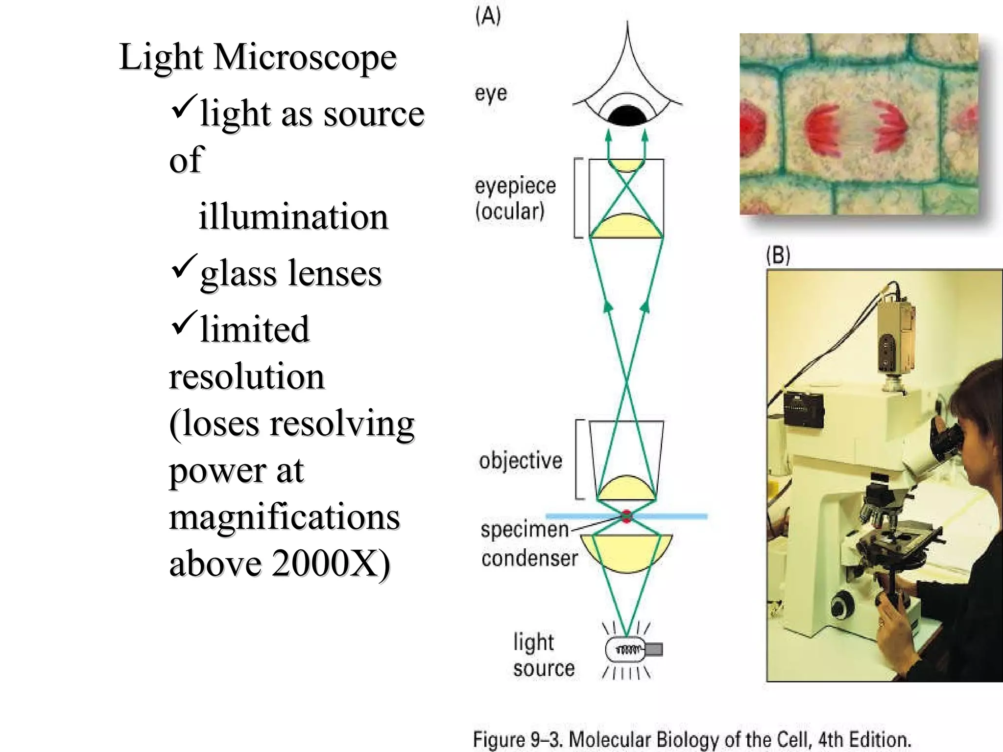 Compound microscopy | PPT
