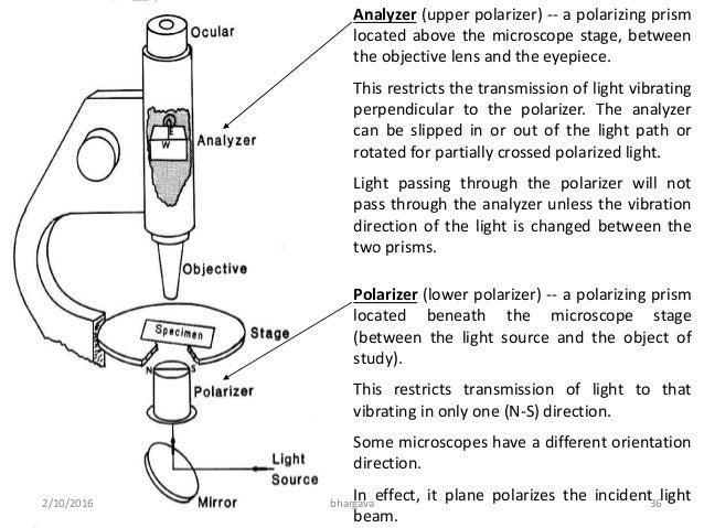 Light microscopy