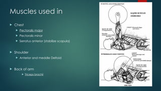 Compound Movements for Strength and Performance | PPTX