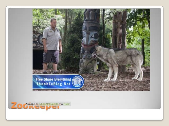 Compound nouns | PPT