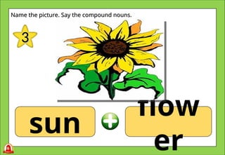 compound nouns.ppt for sharing and learning. | PPT