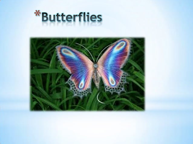 Compound nouns | PPTX