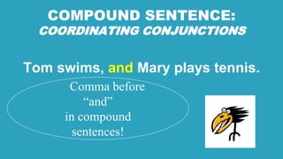 COMPOUND SENTENCES .pptx