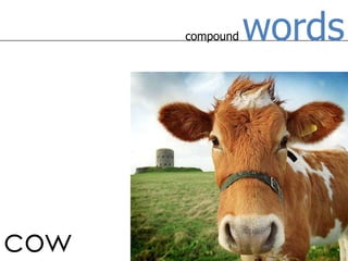 Compound words | PPT
