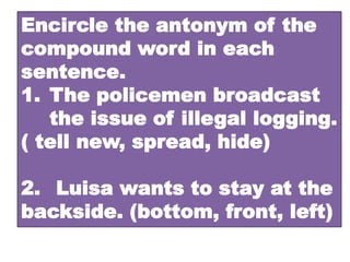 Compound words | PPTX