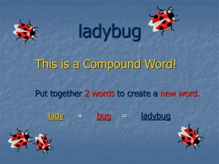 Compound words English , Second Grade English | PPT
