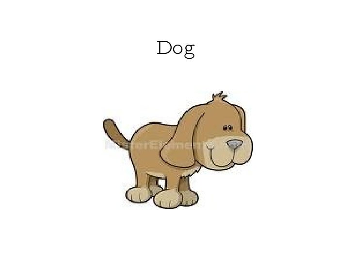 Is Dog A Compound Word