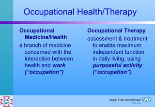 Occupational Health | PPT