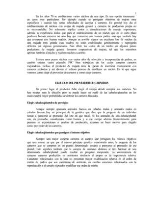 Compra de carneros | PDF