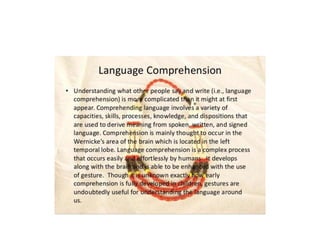 Comprehension theory | PPTX