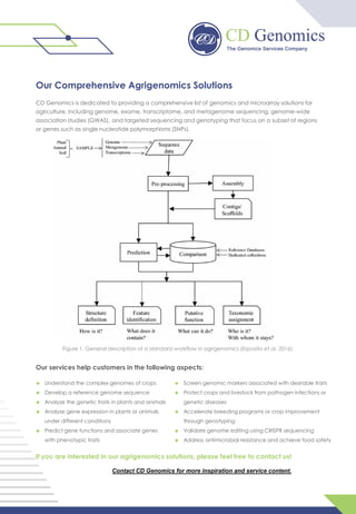 Comprehensive Agrigenomics Solutions | PDF | Databases | Computer ...