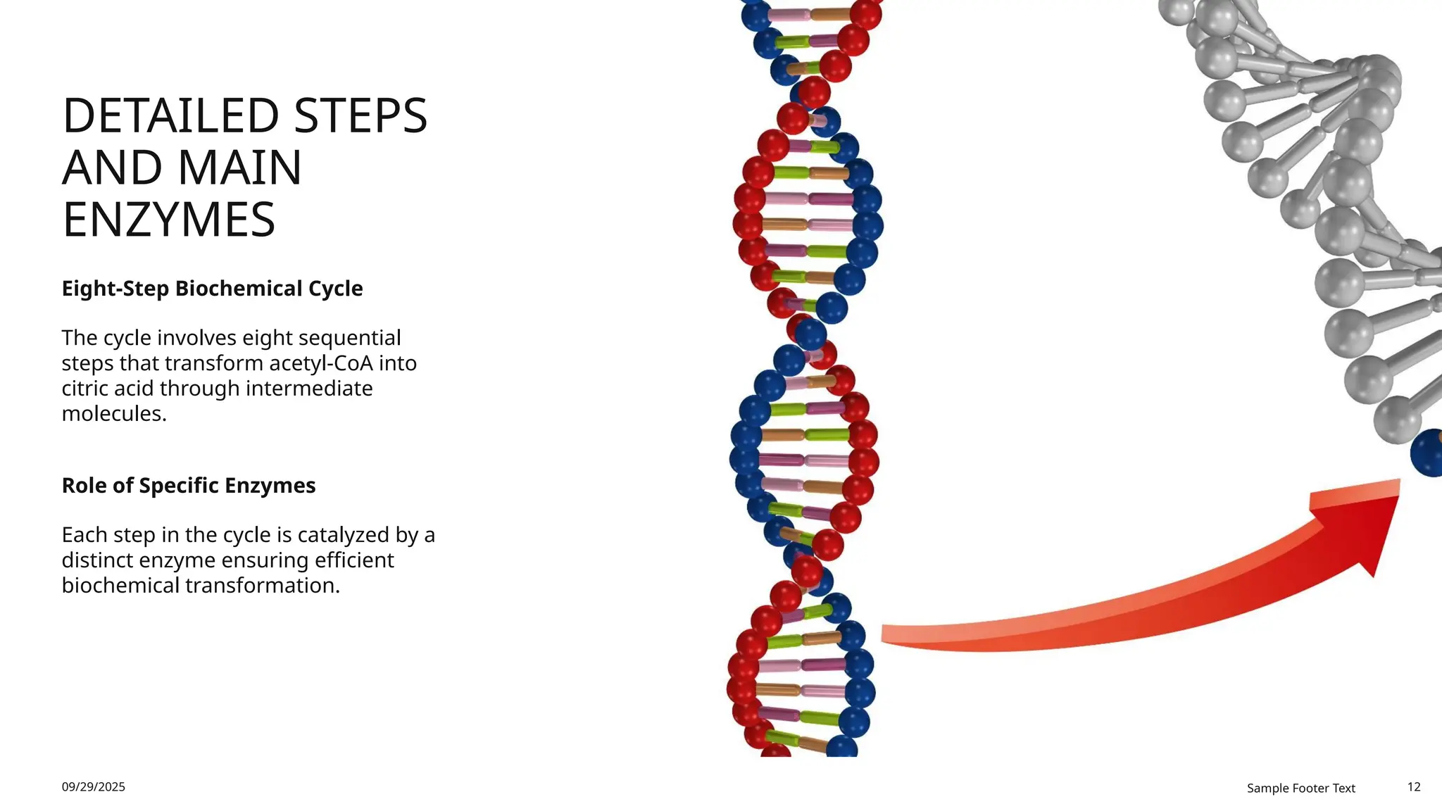 Comprehensive Analysis of Cellular Respiration for AP Biology.pptx