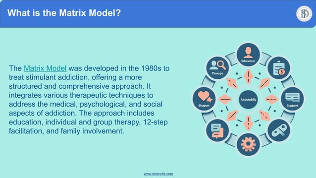 What is the Matrix Model? Effective Treatment for Stimulant Addiction | PPT