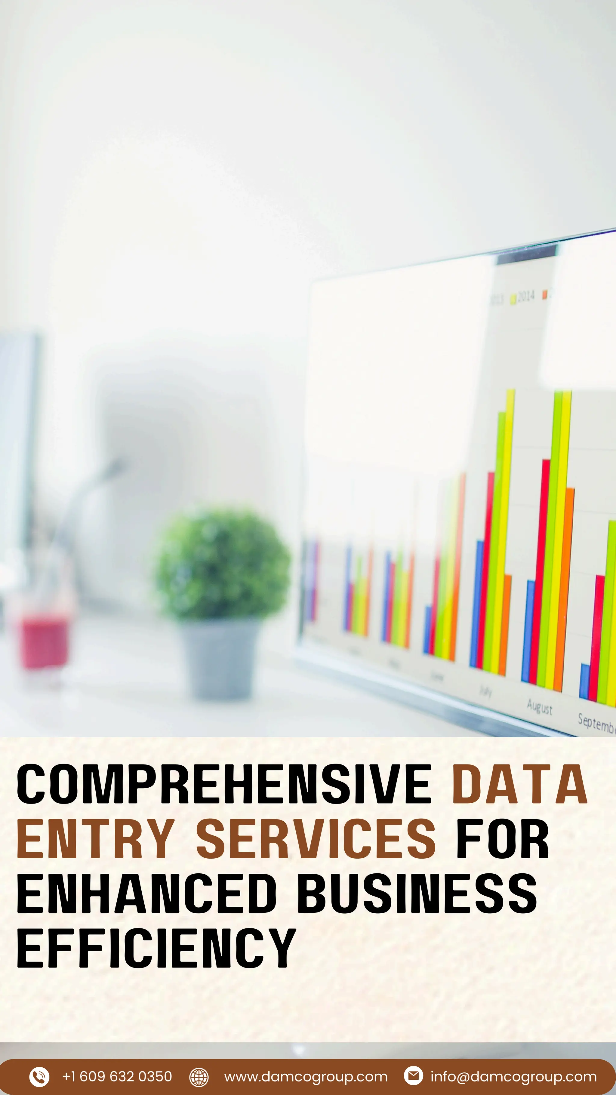 Comprehensive Data Entry Services for Enhanced Business Efficiency.pdf
