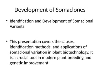 Comprehensive_Development_of_Somaclones.pptx