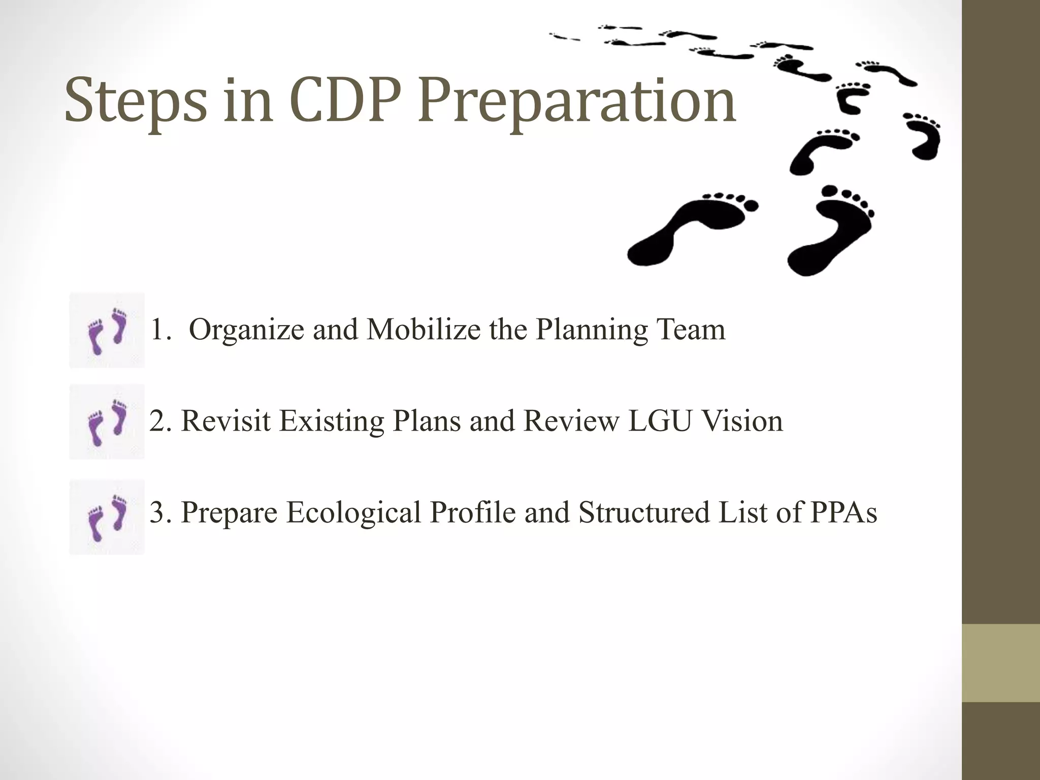 Comprehensive Development Plan | PPTX