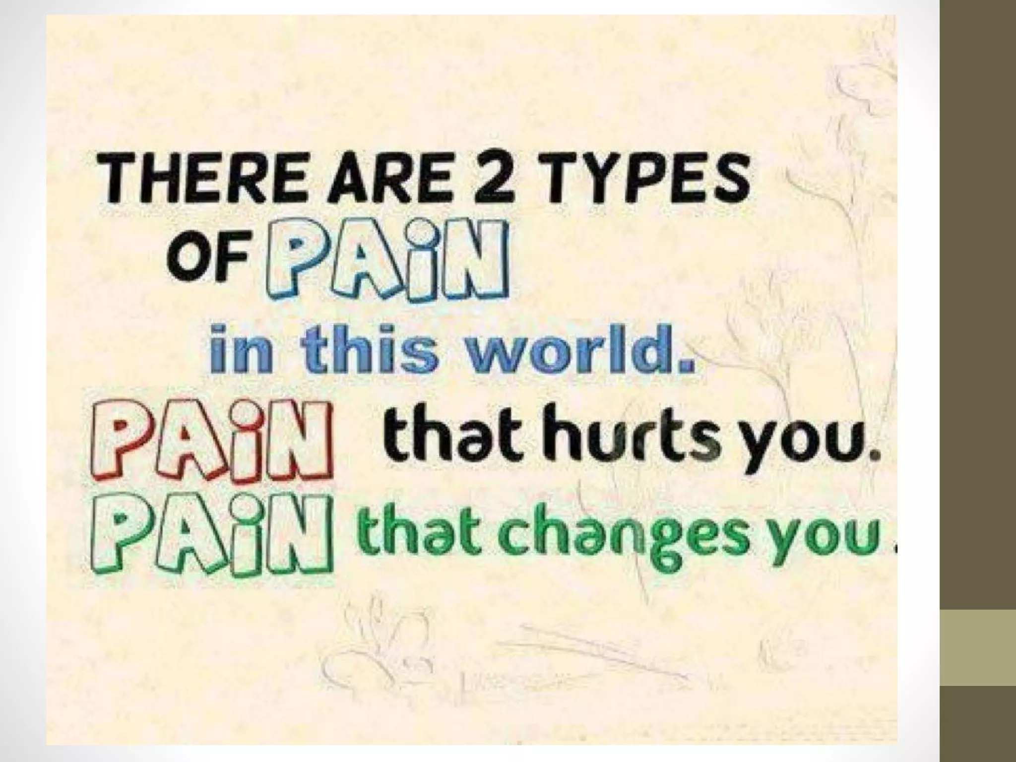 Comprehensive Development Plan | PPTX