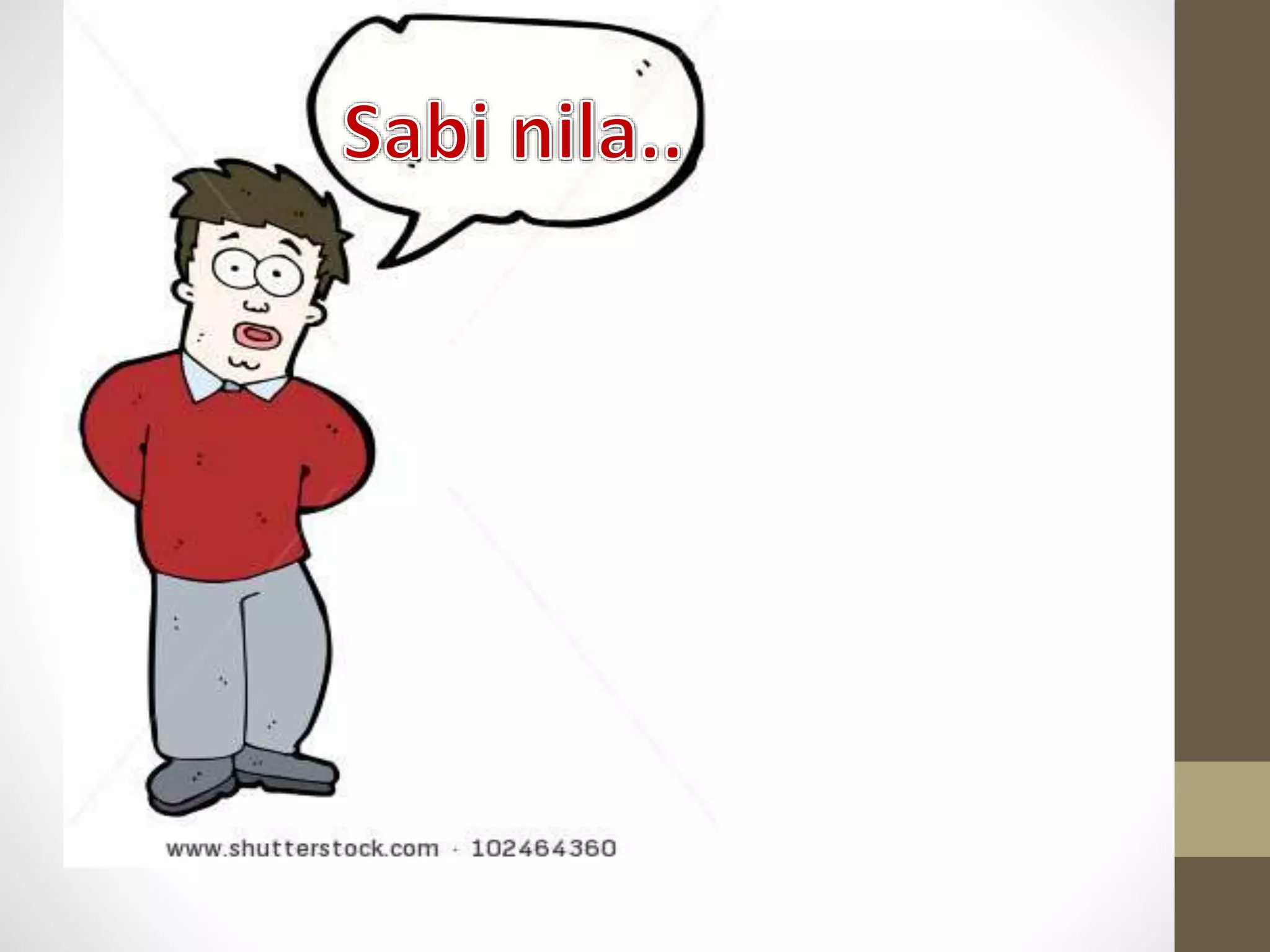 Comprehensive Development Plan | PPTX