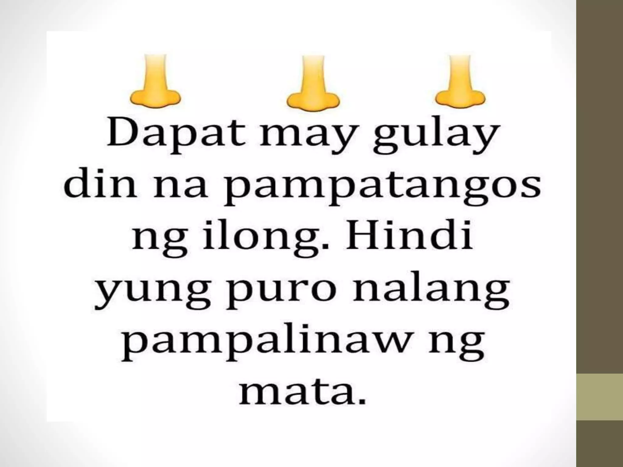 Comprehensive Development Plan | PPTX