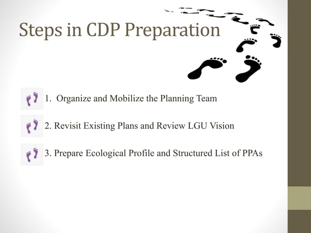 Comprehensive Development Plan | PPTX