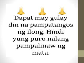 Comprehensive Development Plan | PPTX