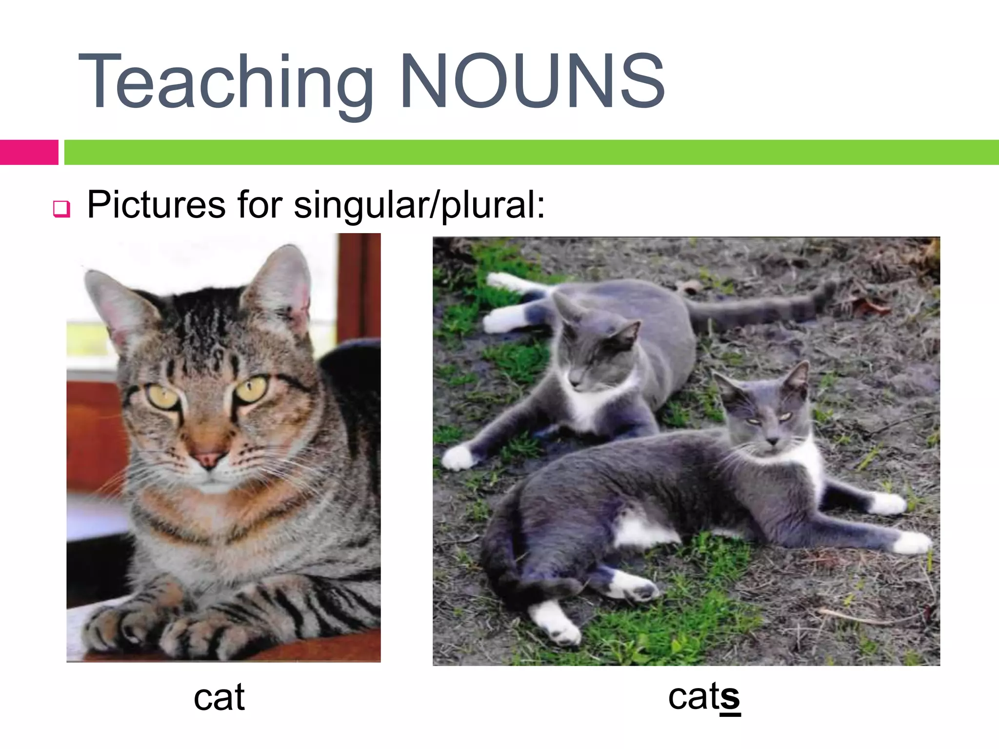 A comprehensive English grammar guide for EFL/ESL teachers | PPTX ...