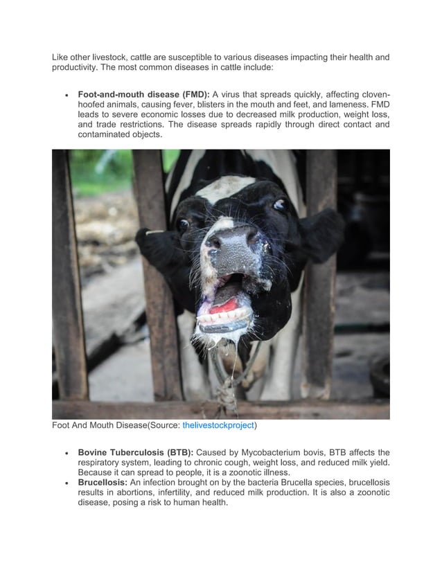 Comprehensive Guide to Common Cattle Diseases and Their Treatments.pdf