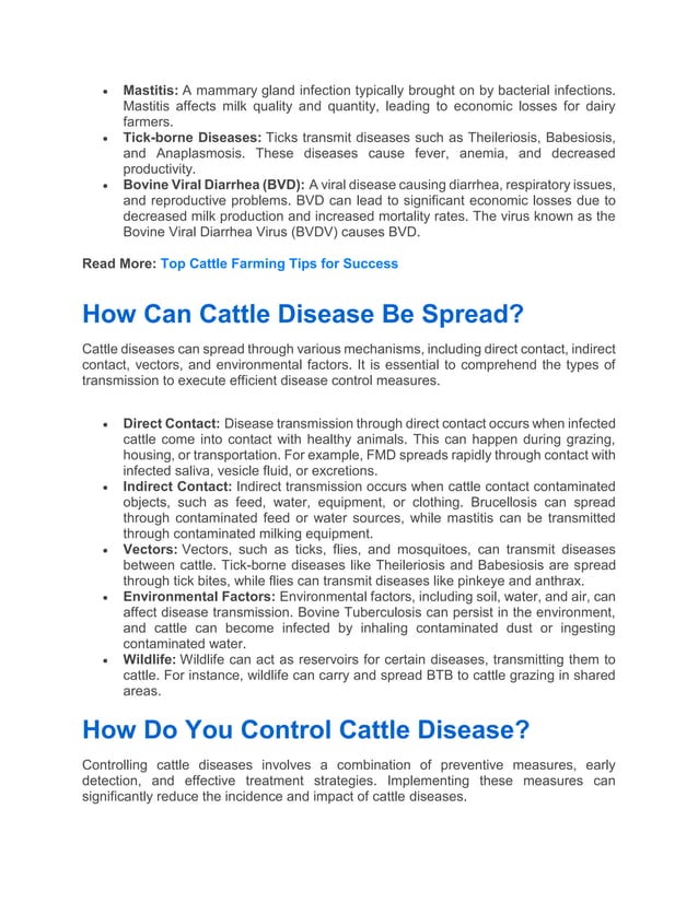 Comprehensive Guide to Common Cattle Diseases and Their Treatments.pdf