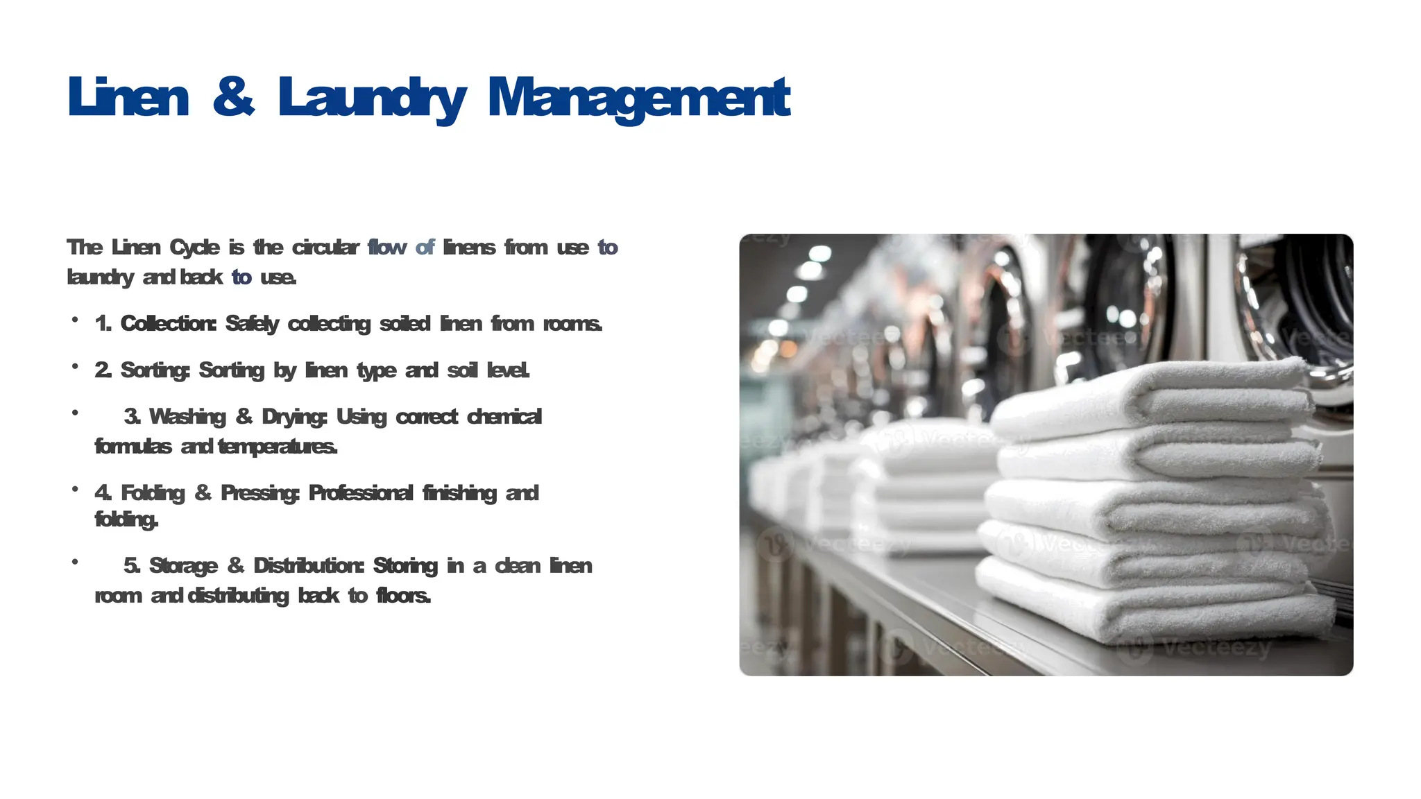 Comprehensive Guide to Professional Housekeeping.pptx